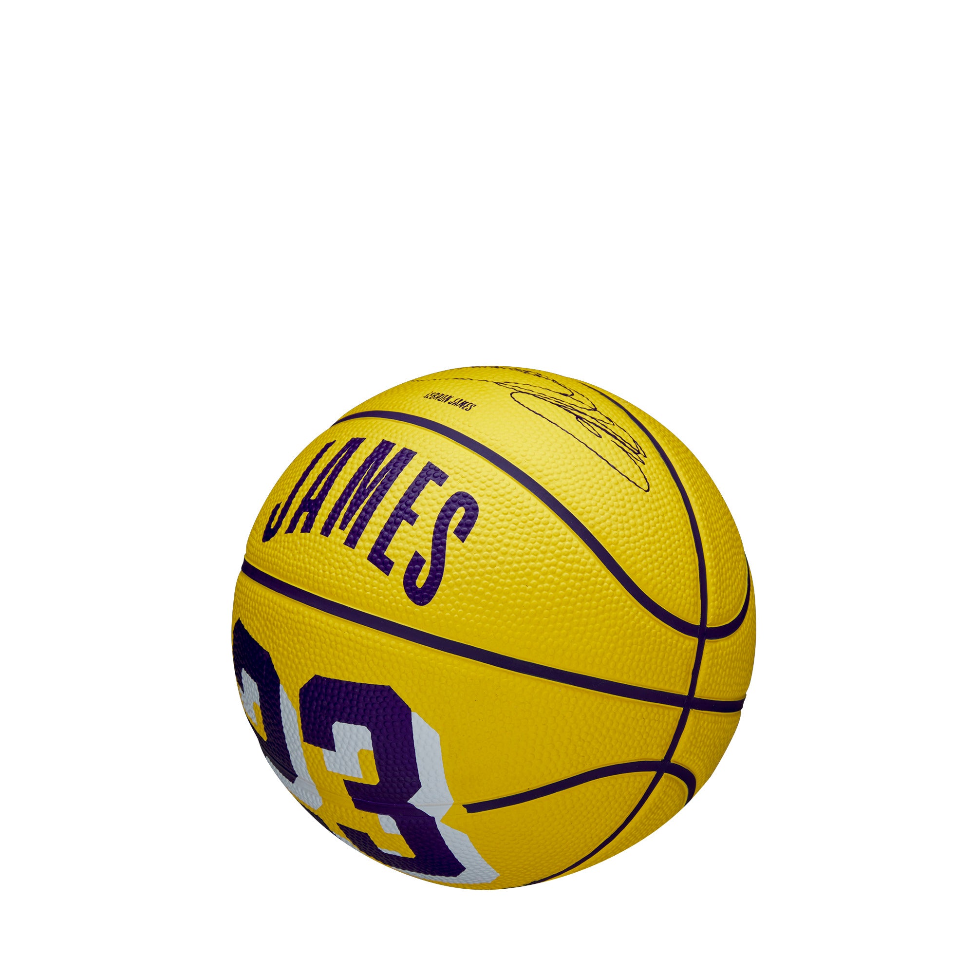 윌슨 NBA PLAYER ICON 미니 농구공 | 윌슨 공식 온라인스토어 – Wilson Korea